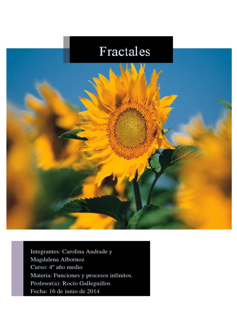 Qué Son Los Fractales | PDF | Fractal | Dimensión