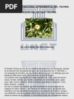 Actividades Didácticas de Matemáticas. Segundo Grado | PDF | Color | Ocio