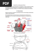Sistema de Módulo y Sistema de Paso Diametral | PDF | Engranaje ...