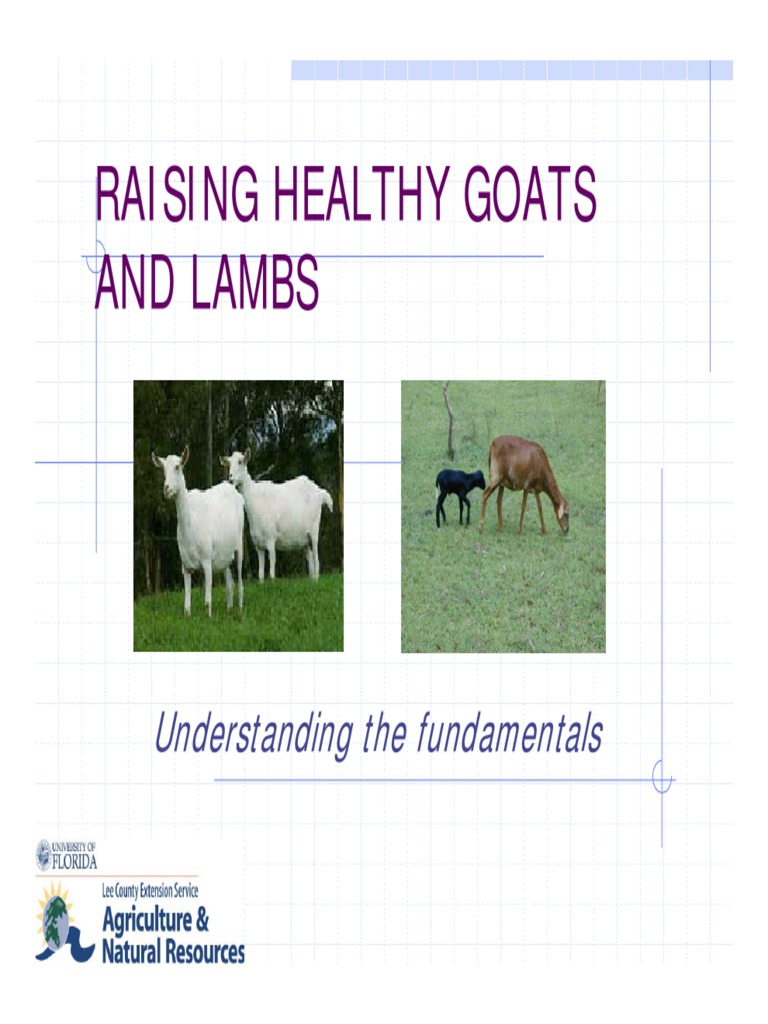 Raising Healthy Goats and Sheep: A Comprehensive Guide to Housing ...