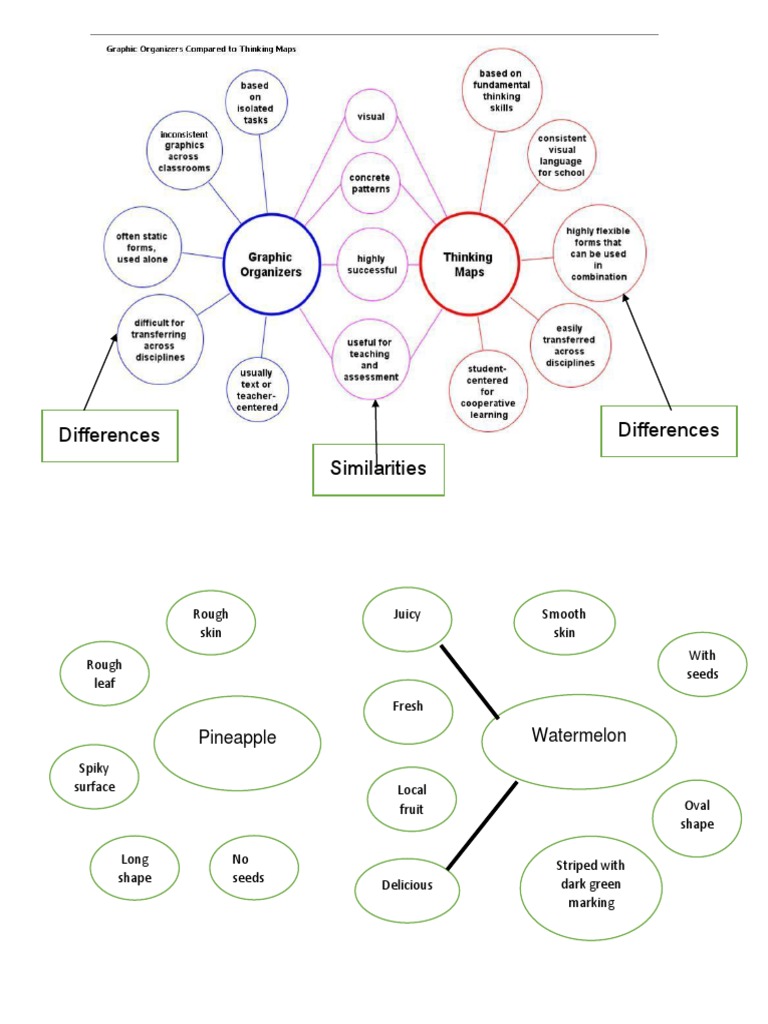 Double Bubble Map: Fruit Comparison | PDF