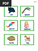 Flashcards Transport | PDF