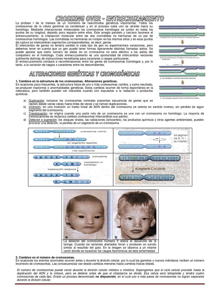 Alteraciones Cromosómicas | PDF | Gene | Cromosoma