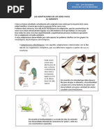 Cadena Alimenticia - Productores, Consumidores y Descomponedores PDF ...
