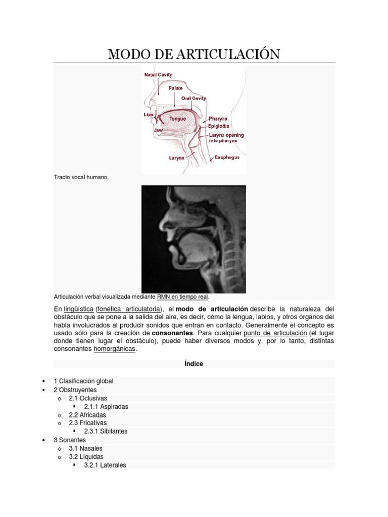 Modo de Articulación | PDF | Fonología | Voz humana