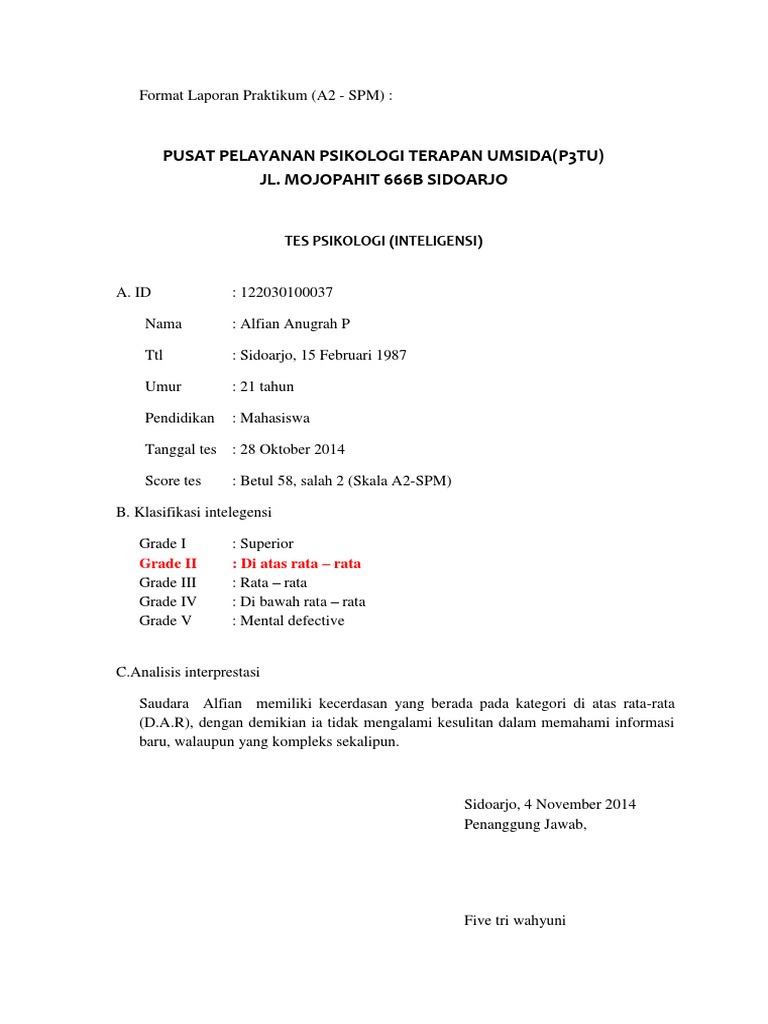 Hasil Tes Psikologi SPM, Apm, CPM | PDF