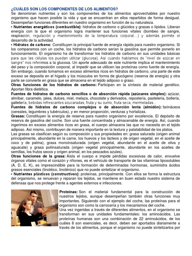 Cuáles Son Los Componentes de Los Alimentos | PDF | Carbohidratos ...