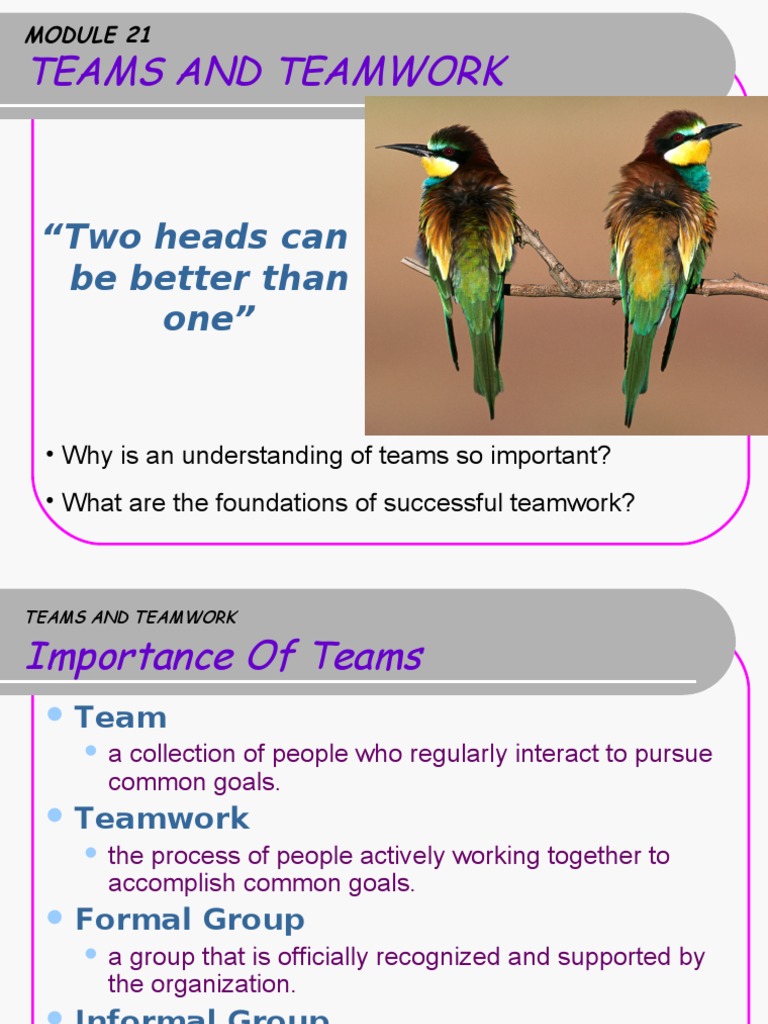 Teams and Teamwork | PDF | Leadership | Behavioural Sciences