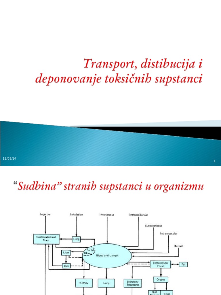 3.transport, Distribucija I Deponovanje Toksikanata | PDF