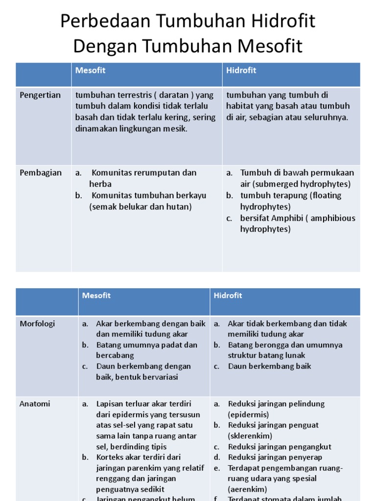 Perbedaan Tumbuhan Hidrofit Dengan Tumbuhan Mesofit | PDF