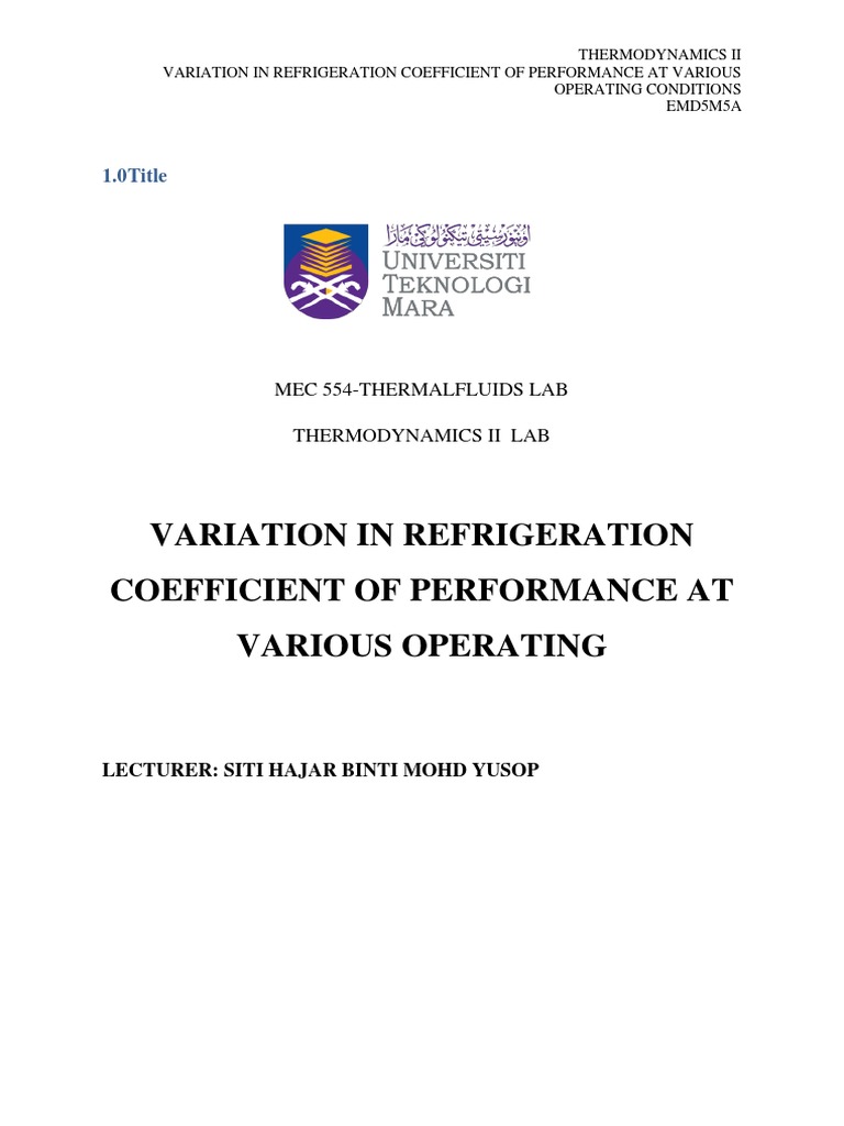 Refrigerator Report | PDF | Refrigeration | Gas Compressor