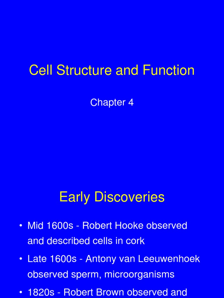 Biology Cell Structure Lecture Powerpoint Mapua | PDF | Cell Nucleus ...