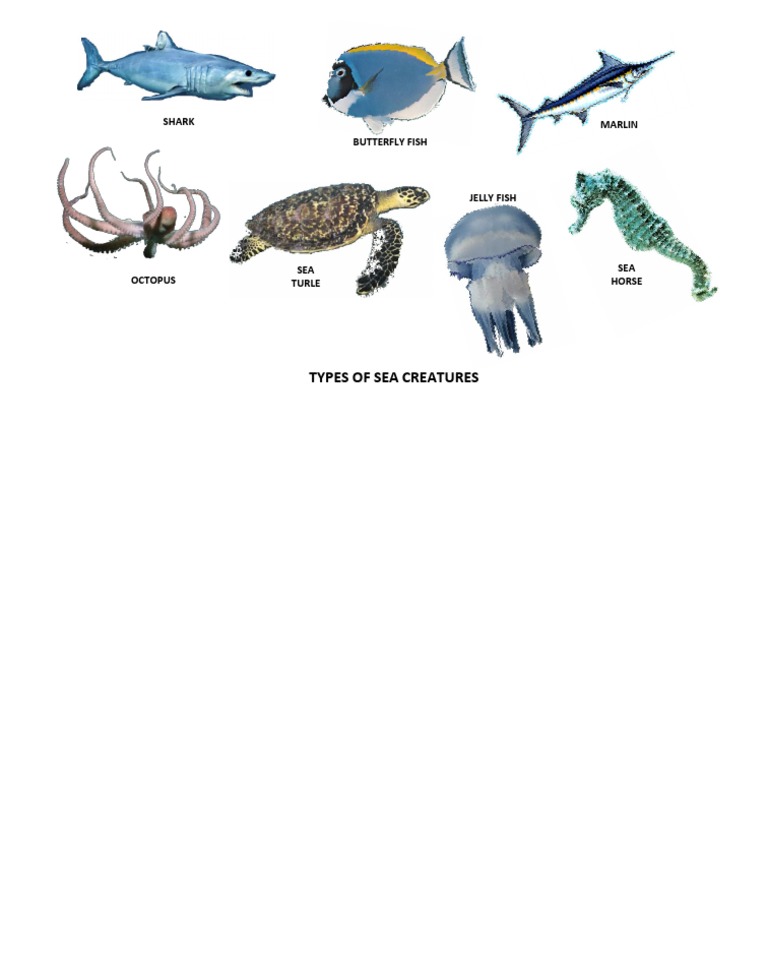 Types of Sea Creatures: Shark Marlin Butterfly Fish | PDF