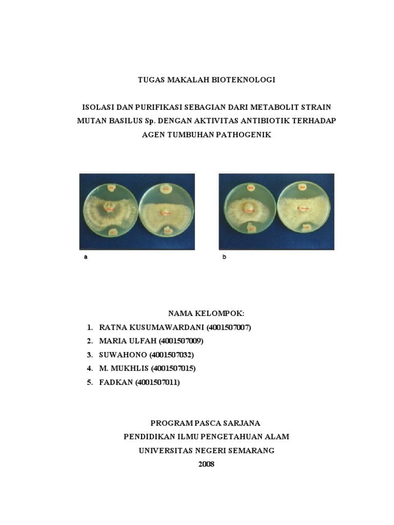 Bacillus Subtilis | PDF