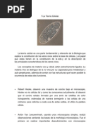 Cualidades y Potencialidad Física Del Ser Humano | PDF | Fuerza | La ...