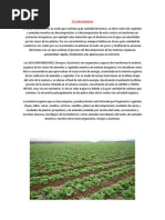 Suelos Humíferos - Características, Tipos y Animales - Lifeder PDF ...