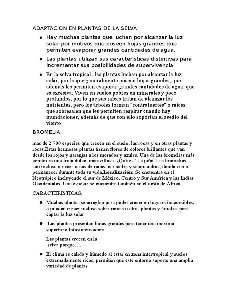 Adaptacion en Plantas de La Selva | PDF | Selva | Zona tropical