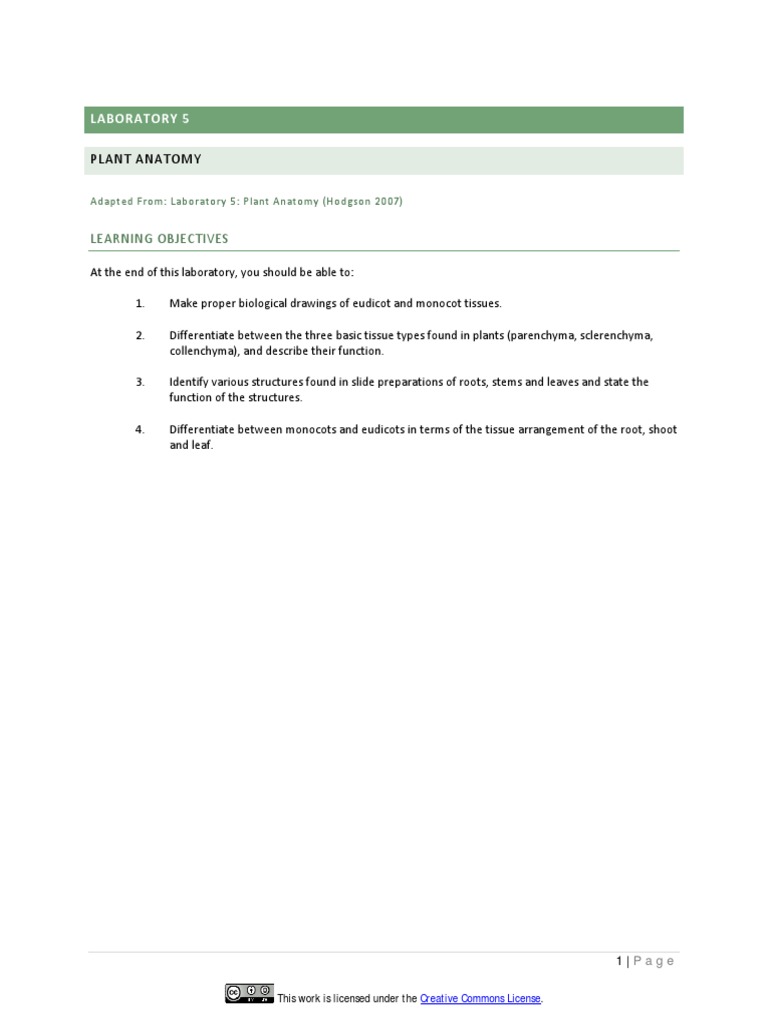 Bio 103 Lab 5 Plant Anatomy PDF | PDF | Plant Stem | Tissue (Biology)