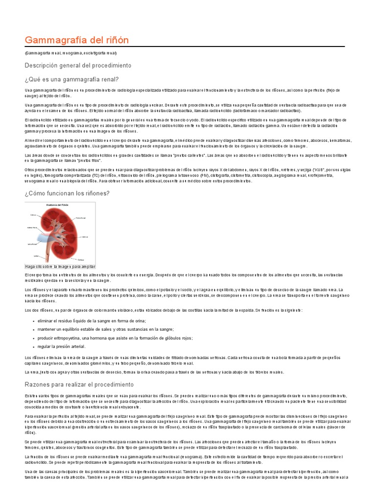 Gammagrafía renal.pdf | Riñón | Orina