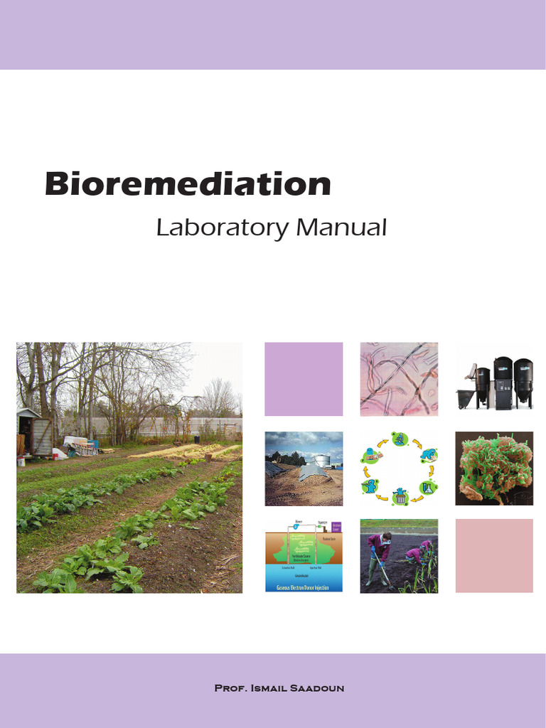 Bioremediation Lab Gaza | PDF | Biodegradation | Soil