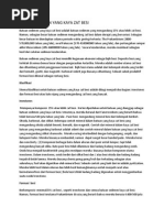 Batu Rijang Dan Proses Pembentukannya | PDF | Ilmu Sosial