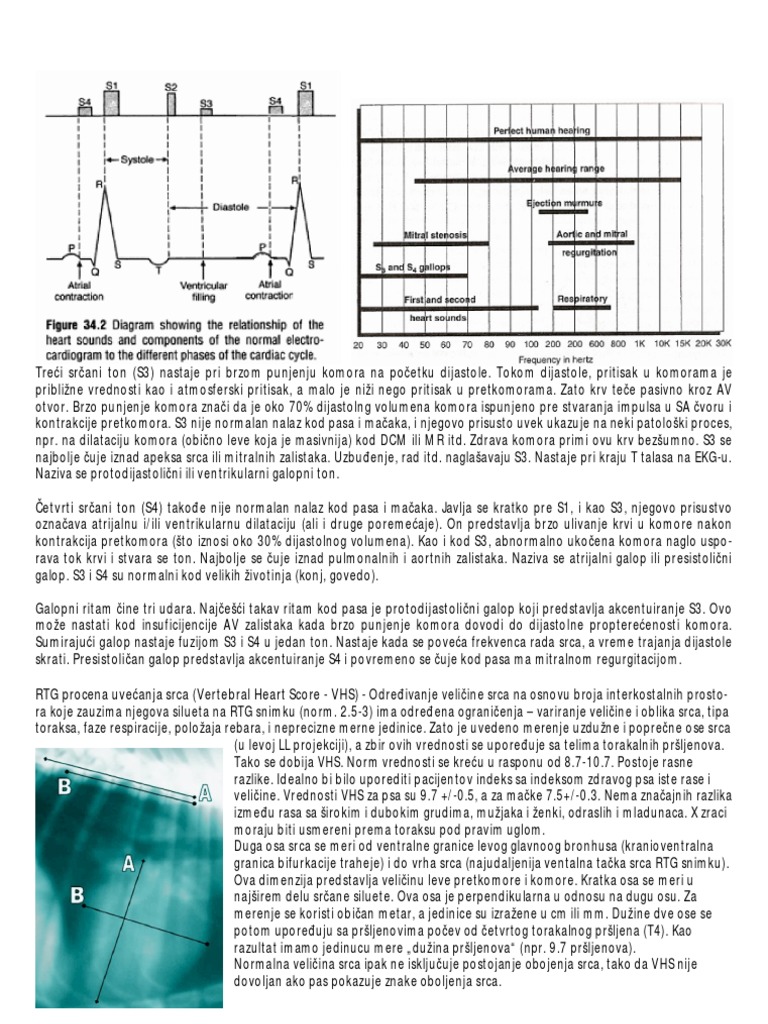 S3, S4, Vertebral Heart Score | PDF