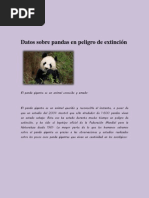 Tipos de Pandas: Gigante y Rojo | PDF | Panda gigante | Zoología