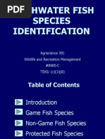 Kentucky Fish Species Guide | PDF | Fish | Aquatic Animals
