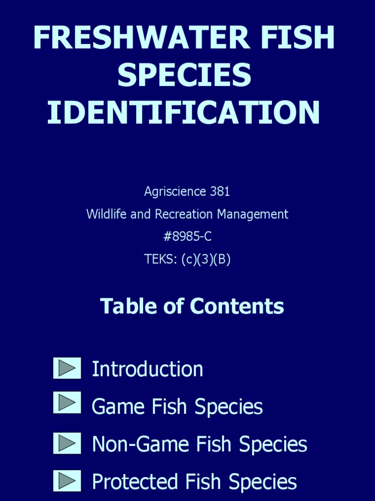 Identification Freshwater Fish | PDF | Rainbow Trout | Anatomical Terms ...