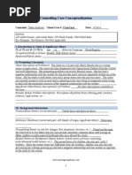5Ps Formulation Worksheet | PDF