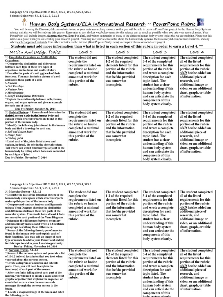 Human Body Systems Research Project Rubric | PDF | Circulatory System ...