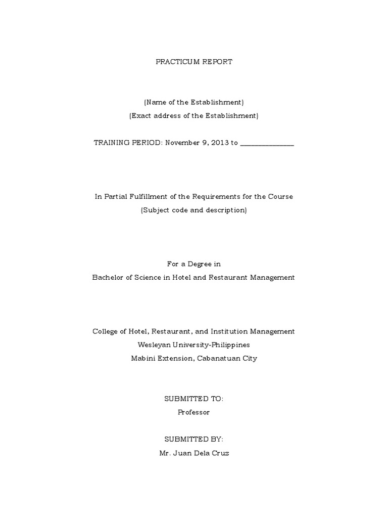 Practicum Report | PDF | Swot Analysis | Business