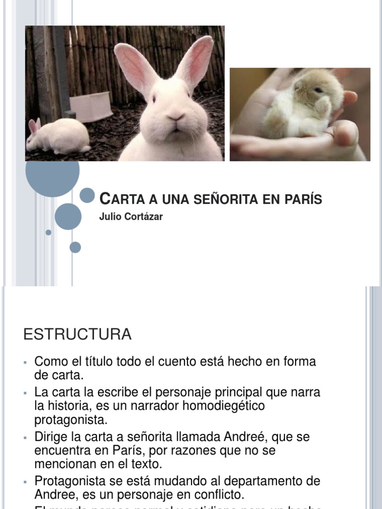 Carta A Una Señorita en París Cortazar | PDF