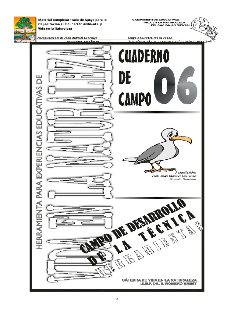 CC06 Hacha | PDF | Hacha | Herramientas