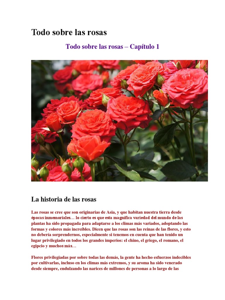 Todo Sobre Las Rosas | PDF | Rosa | Fertilizante