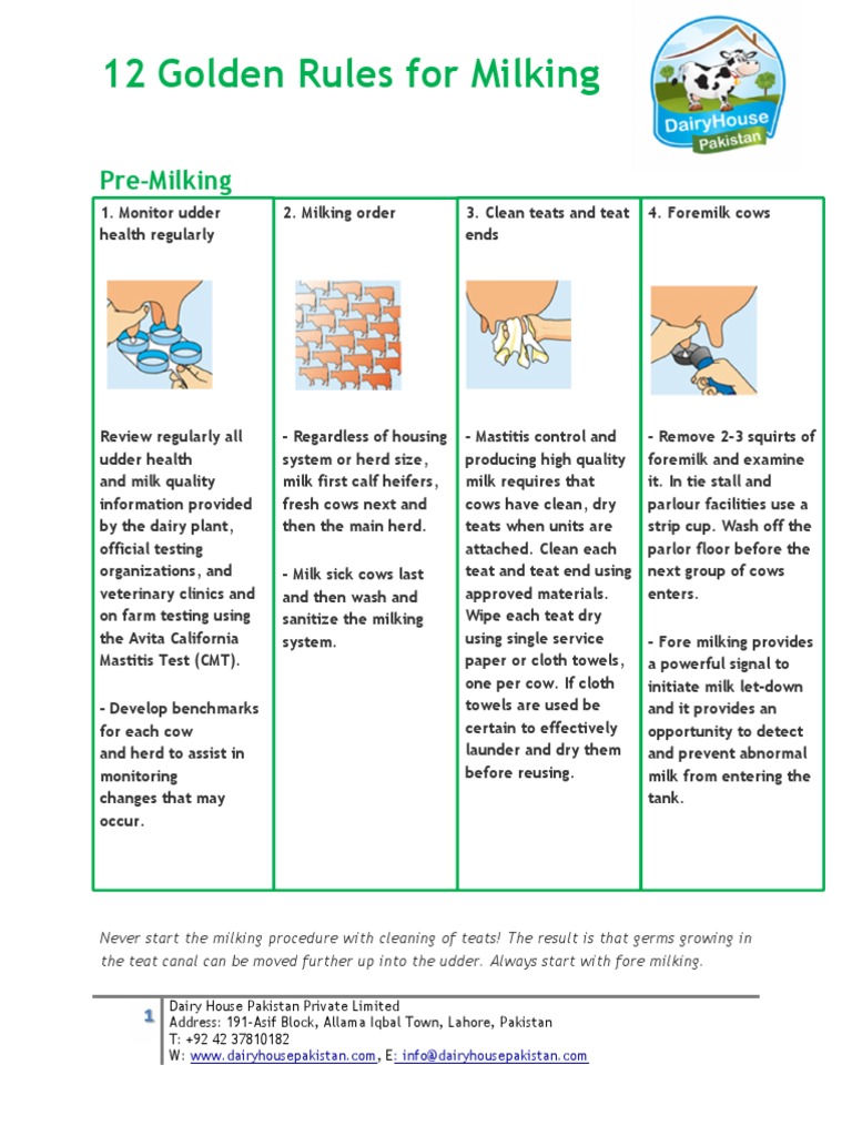12 Golden Rules For Milking - DHP | PDF | Dairy | Milk