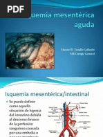 Clasificación de Bockus | PDF | Abdomen | Inflamación