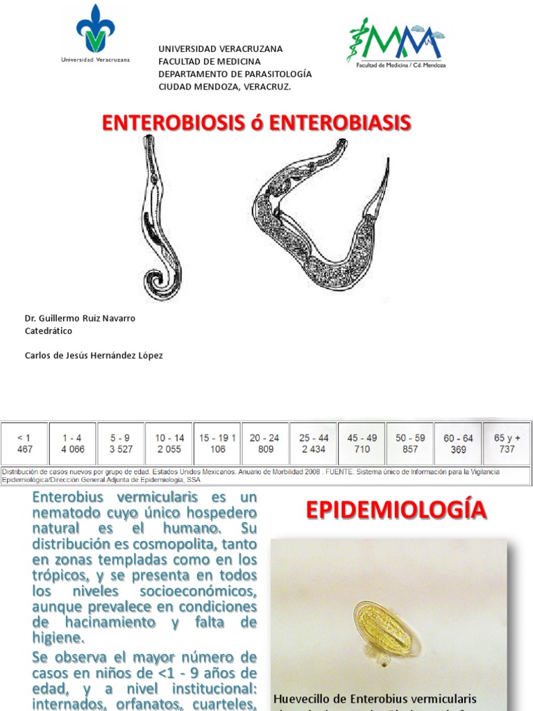 Enterobius vermicularis | Especialidades Medicas | Enfermedades y ...