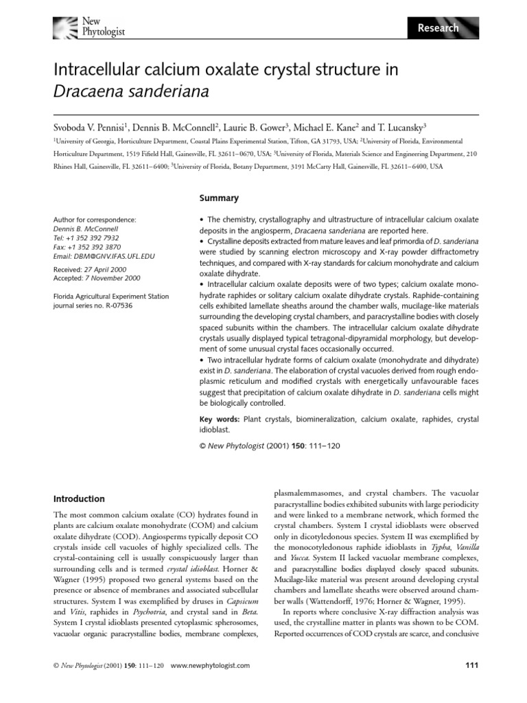 Intracellular Calcium Oxalate Crystal Structure in | PDF | Vacuole ...