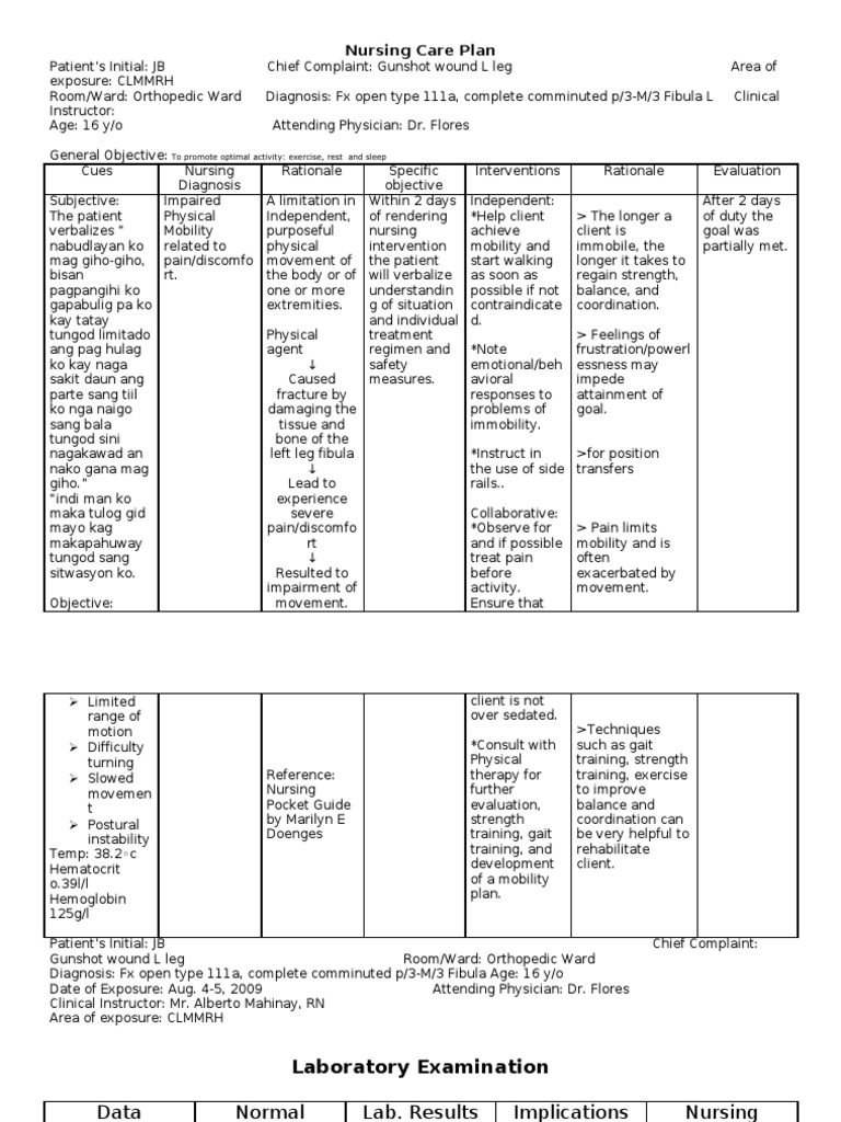 Nursing Care Plan (Orthopedic Ward) | Pain | Nursing