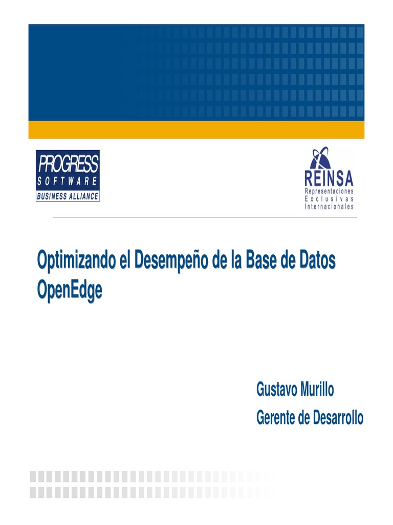 Presentacion Rendimiento OpenEdge RDBMS PDF PDF | PDF | Almacenador intermediario de datos ...