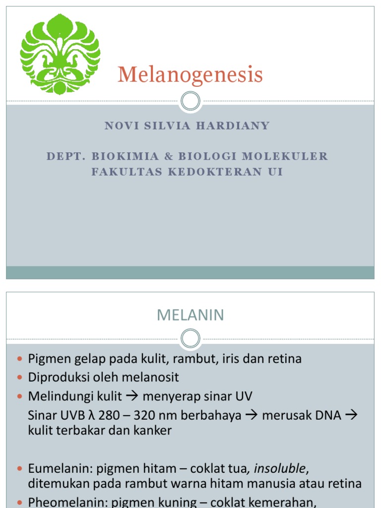 Melanogenesis | PDF