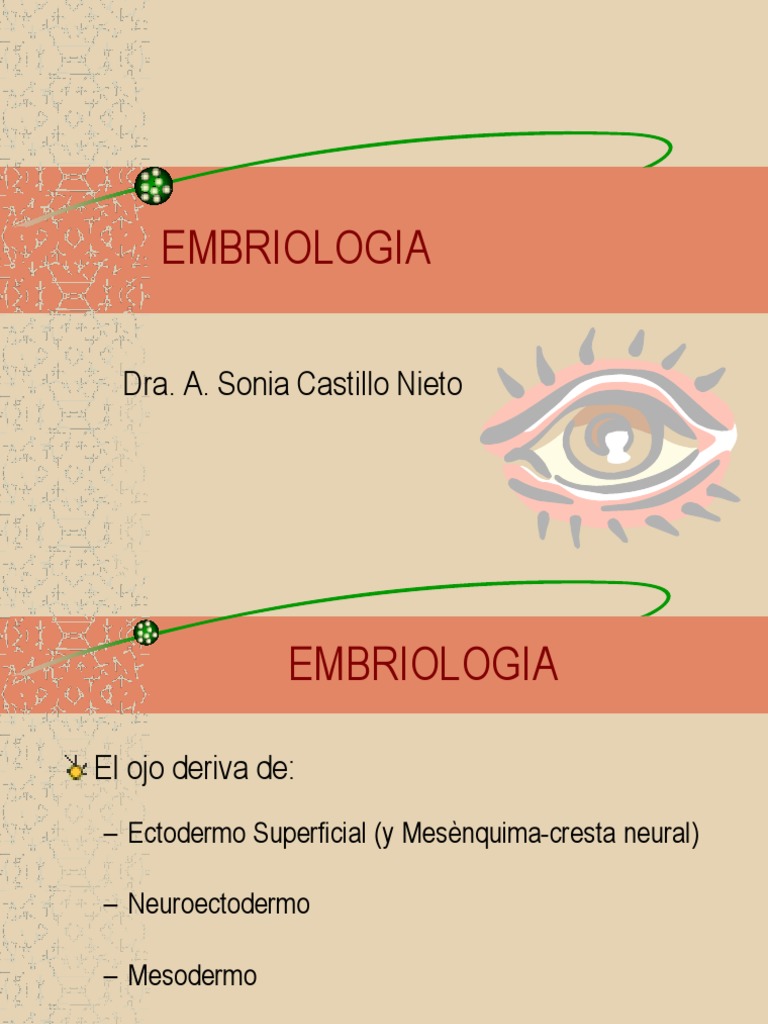EMBRIOLOGIA DEL OJO.ppt | Ojo humano | Ojo