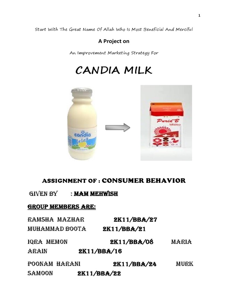 Executive Summary of candia milk Project | Market Segmentation | Milk
