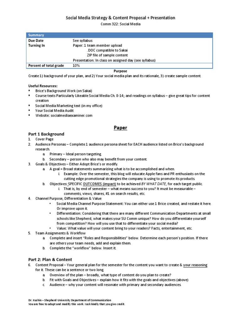 Social Media Strategy Assignment Guide | PDF