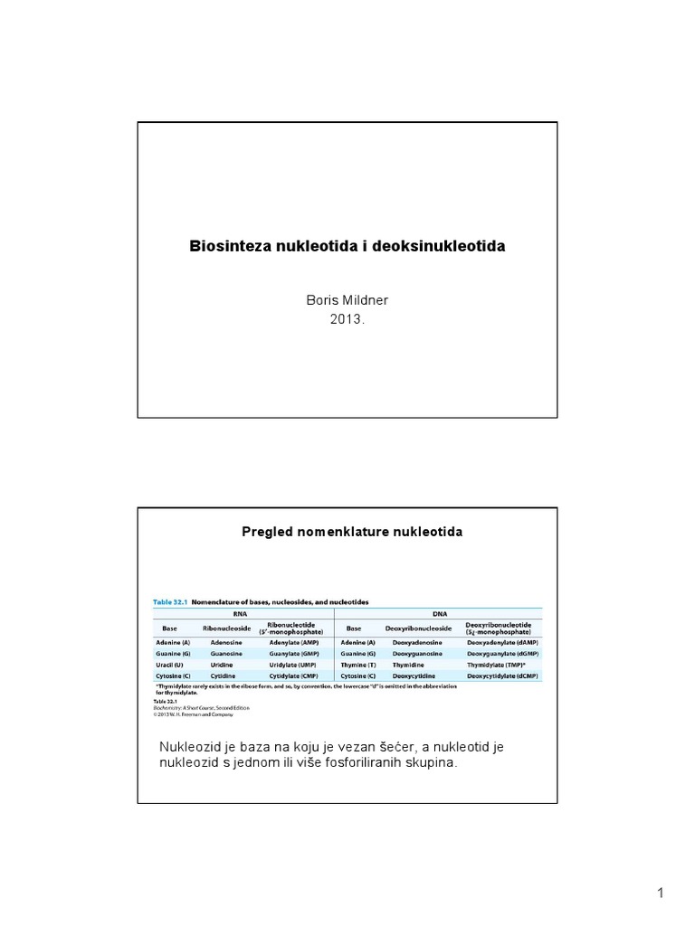 Nukleotidi (Biokemija) | PDF