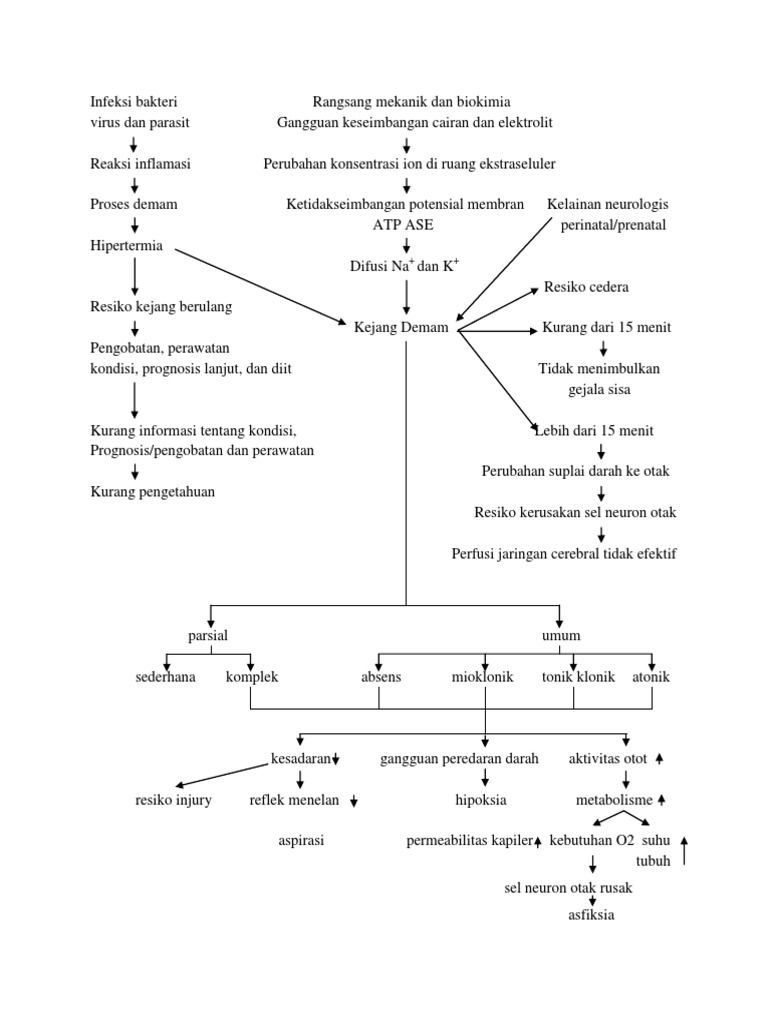 Pathway Kejang Demam | PDF