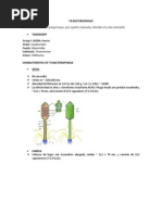 Bacterias Verdes Del Azufre | PDF | Las bacterias | Fotosíntesis