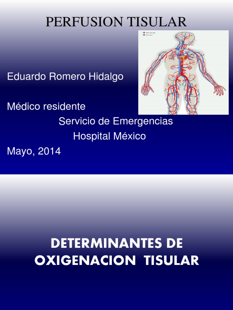 Perfusion Tisular | PDF