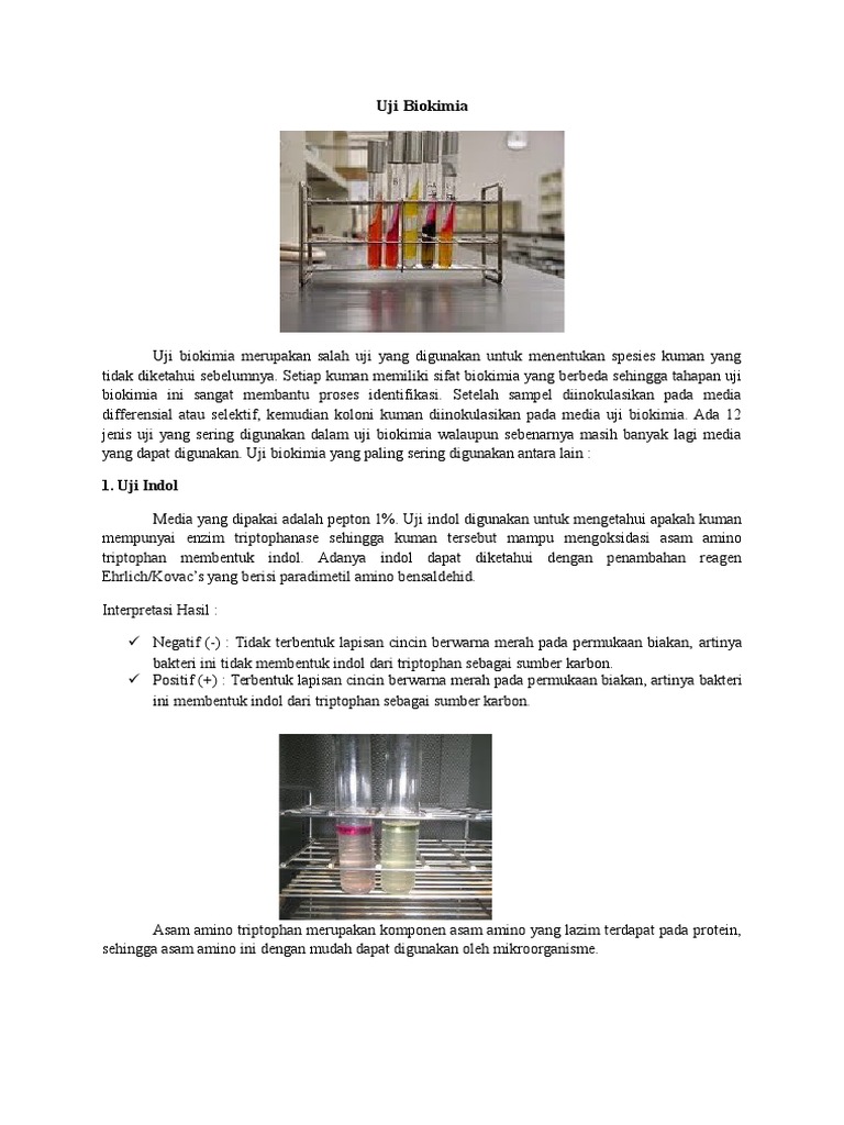Uji Biokimia | PDF